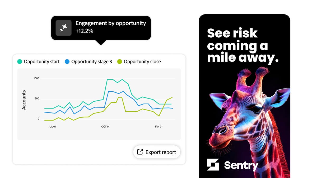 Flexible B2B Data Framework | Adobe CJA B2B Capabilities