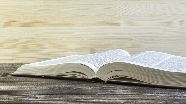 Building & Maintaining a Master Data Dictionary