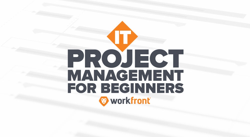 IT Project Management for Beginners