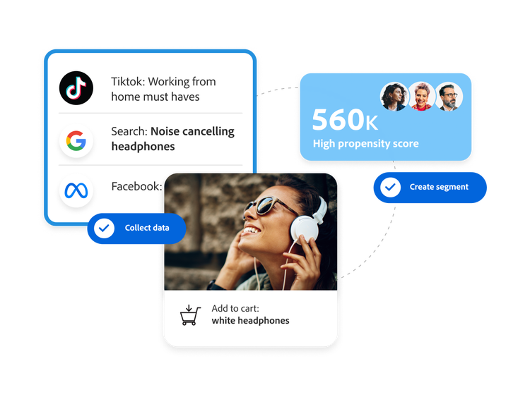 Audience Management - Adobe Real-Time CDP | Adobe Business