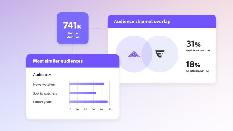 Prospecting New Audiences Adobe Real Time Cdp