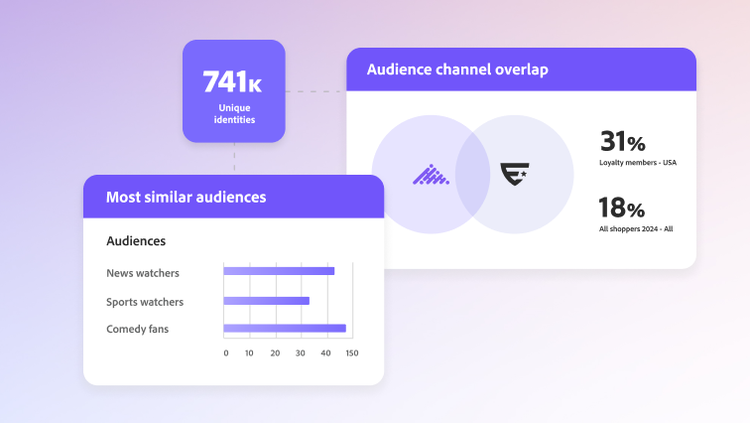 Prospecting New Audiences Adobe Real Time Cdp