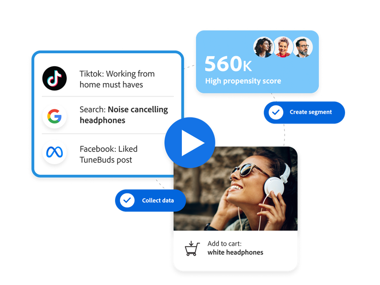 Audience Management Adobe Real Time Cdp