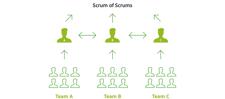 Scrum of Scrums — everything you need to know