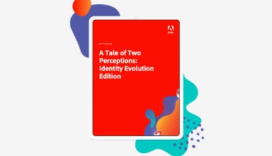 Identity Evolution Study